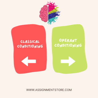 Similarities and Differences between Classical and Operant Conditioning