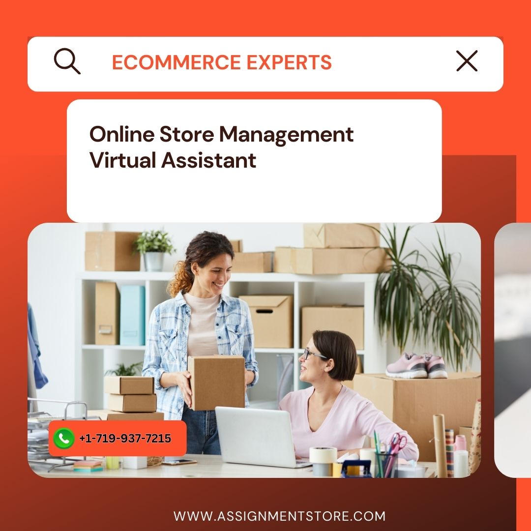 Online Store Management Virtual Assistant #1 Rated Assignmentstore